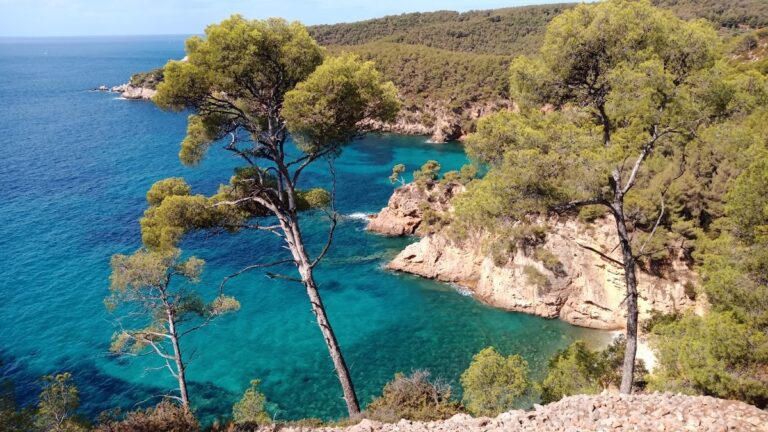 aint-Cyr-sur-Mer : village provençal entre plages et vignobles